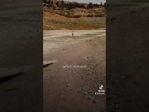 Heatwave: The dry expanse that used to be a reservoir - The Global Herald