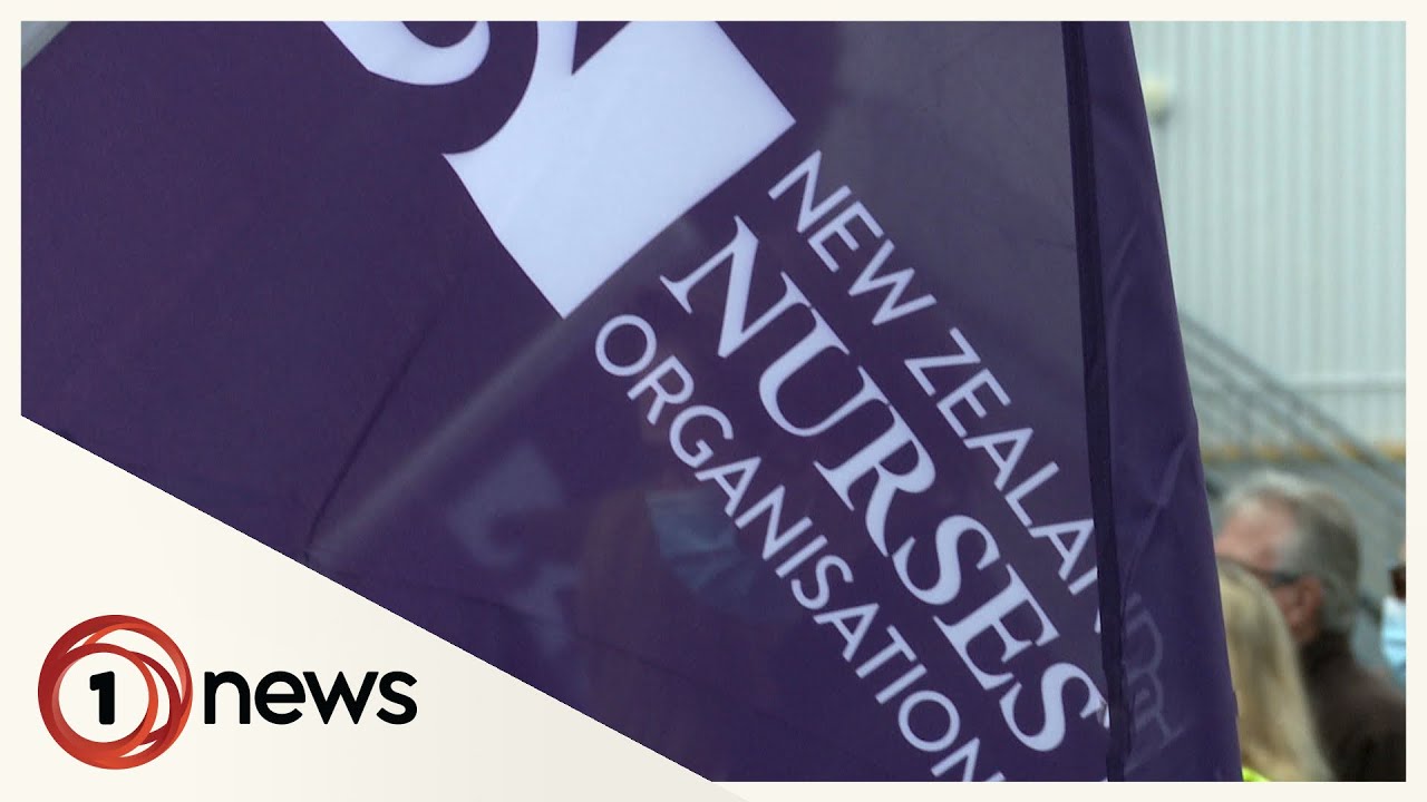 Primary health care nurses rally around New Zealand - The Global Herald