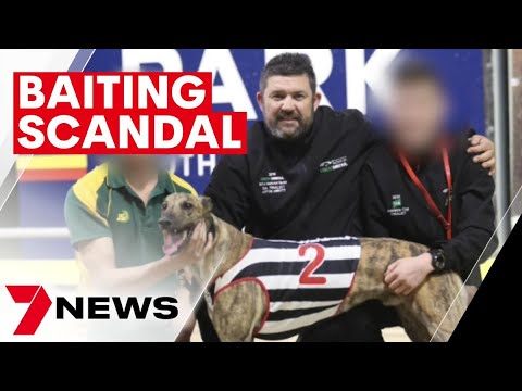 Greyhound trainer Troy Murray accused of live baiting in South Australia | 7NEWS - The Global Herald
