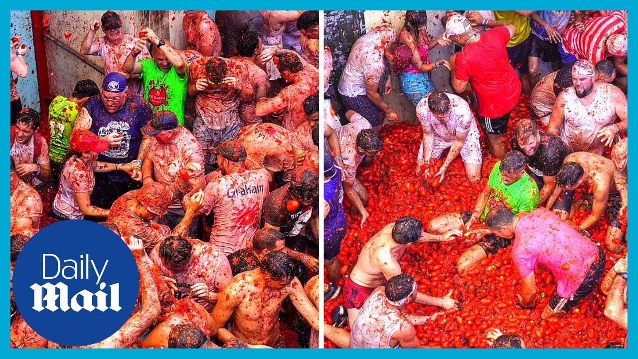 'Word's biggest food fight': Spain's famous tomato Tomatina festival is ...