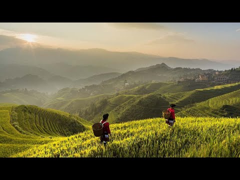 Decoding China's Past Decade: Relocation projects bring 9.6 mln people ...