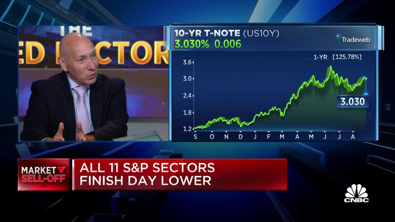 This was a wake-up call for the equity market, says ProShares' Simeon ...