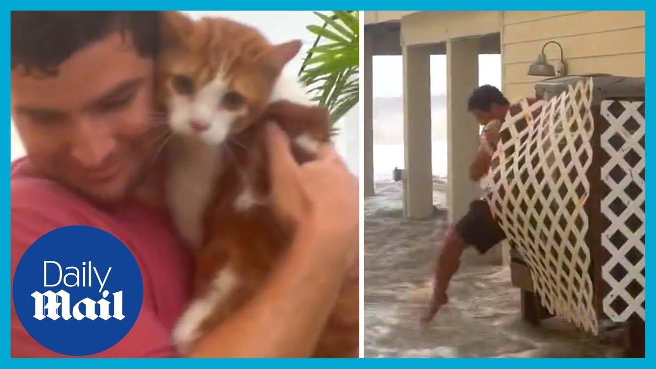 Hurricane Ian heroes rescue animals and neighbours amid tropical storm ...