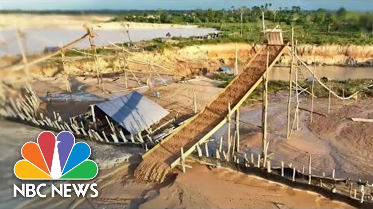 Environmental Activists Targeted For Attempting To Stop Illegal Gold ...