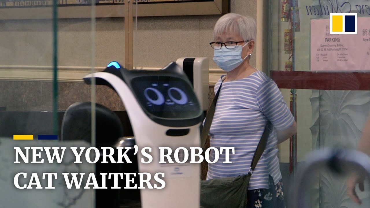 Robot cats to the rescue: short-staffed New York restaurants use China ...