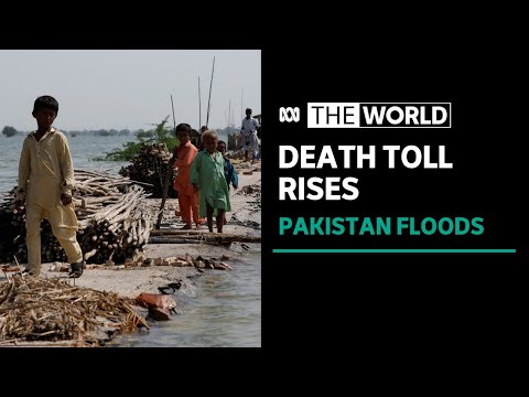 Death toll in devastating Pakistan floods continues to rise | The World ...