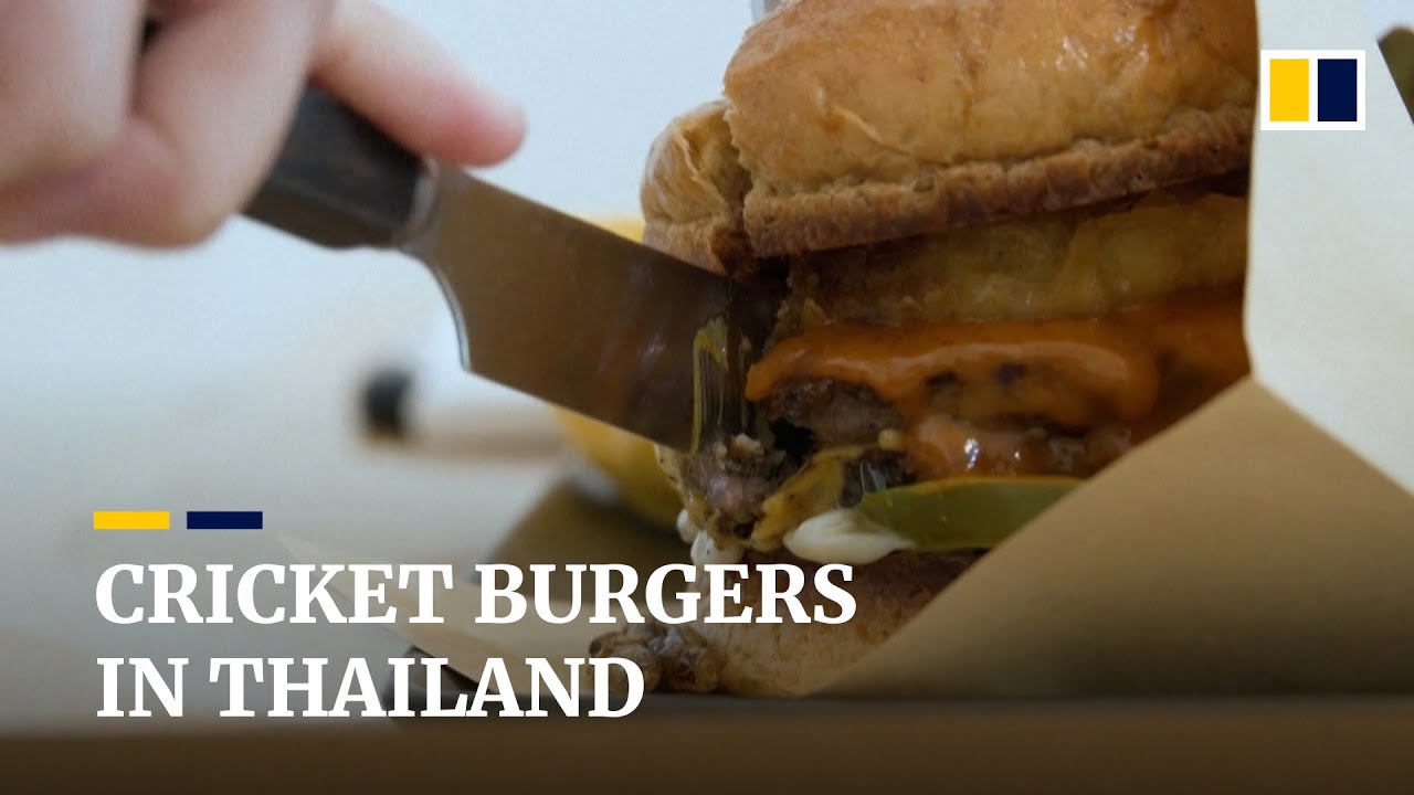 Thai pop-up wins fans with cricket burgers - The Global Herald