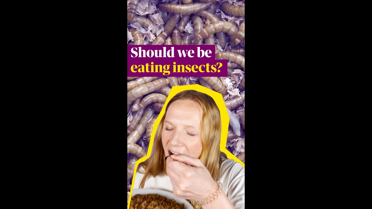 Should we be eating insects? #shorts - The Global Herald