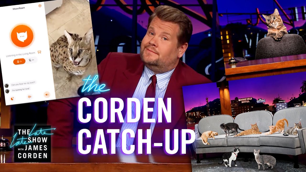 The Cat Show Lives On - Corden Catch-Up - The Global Herald