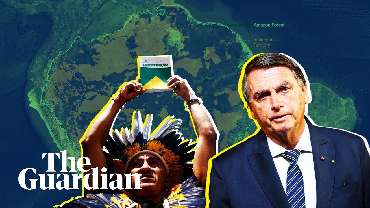 Bolsonaro's war on the Amazon: examining evidence of crimes against ...