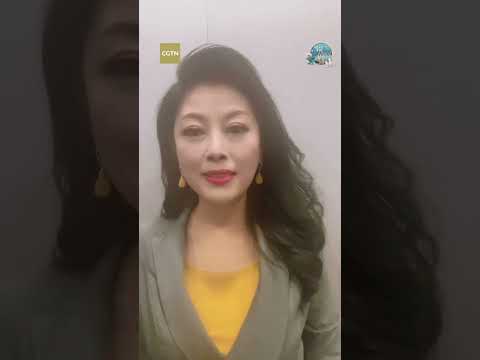 Poems that Define Mid-Autumn Festival: A Twig of Mume Blossoms, as read ...