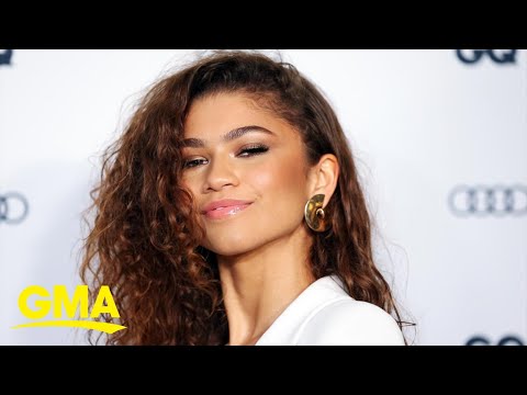 Our favorite Zendaya moments for her birthday - The Global Herald