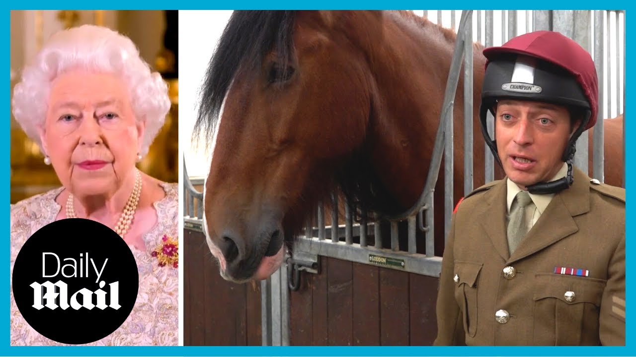Queen Elizabeth II: ‘Gentle giant’ horse Apollo taking part in Her ...