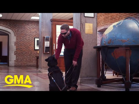 Organization helps the blind by providing guide dogs - The Global Herald