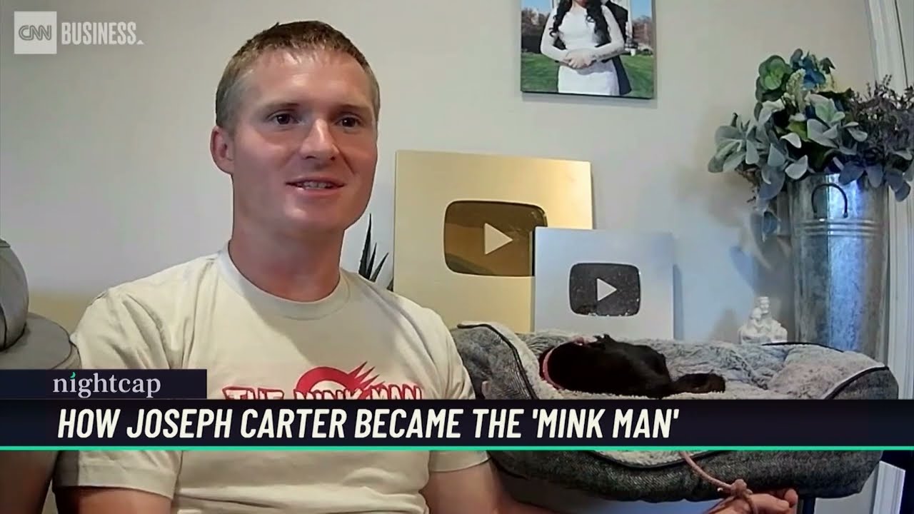 Minks were thought to be impossible to tame. Enter: The ‘Mink Man ...