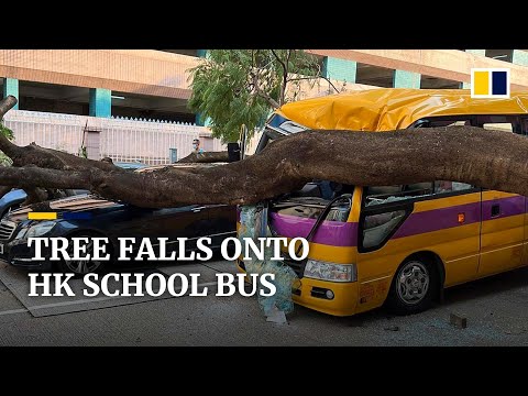 Tree crashes onto school bus in Hong Kong, passengers narrowly escape ...