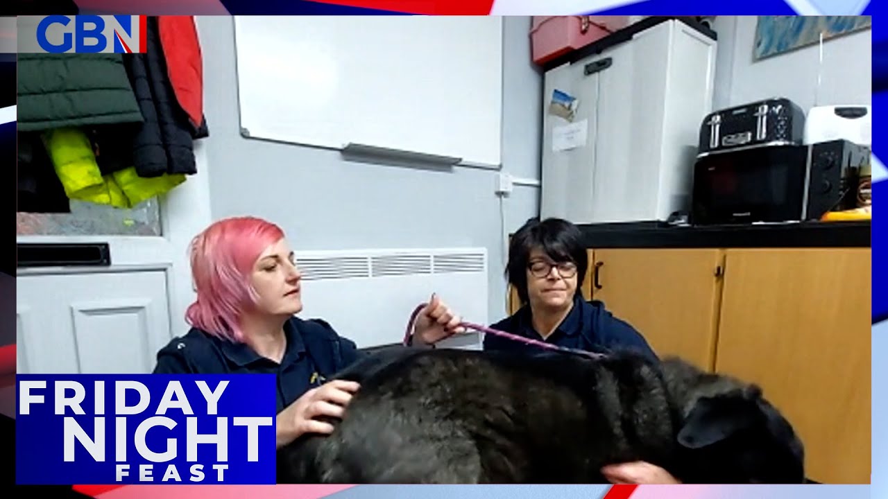 Meet this week’s Dog of the Week - Bon Bon! | Friday Night Feast - The ...