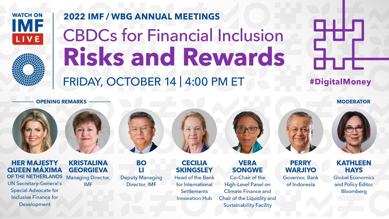 Central Bank Digital Currencies for Financial Inclusion: Risks and ...