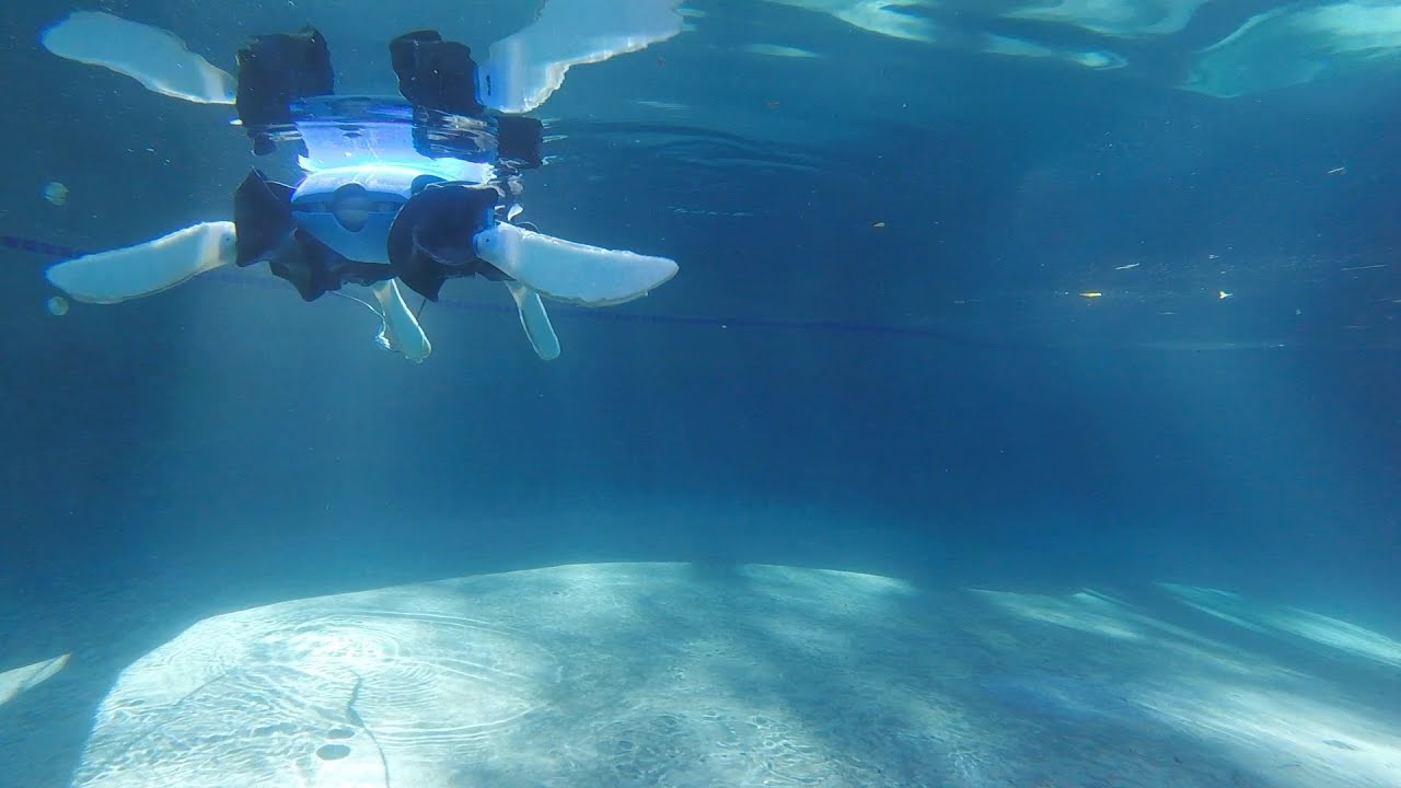 The shape-shifting robo-turtle - The Global Herald