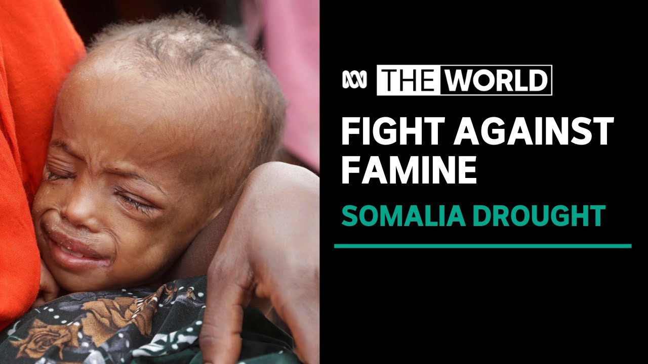 Somalia faces its worst famine in decades as drought deepens | The ...