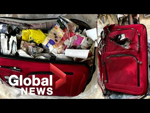 Luggage nightmare: Air Canada passenger fights for compensation after ...