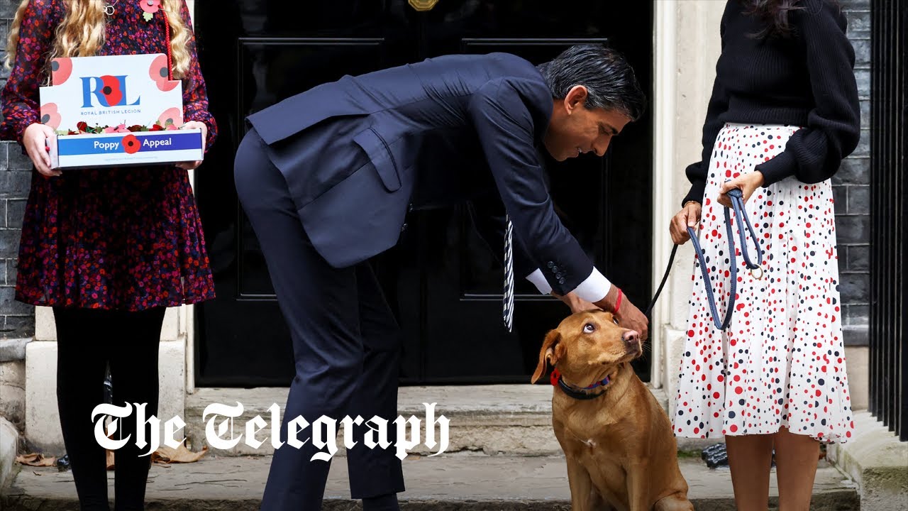 Prime Minister Rishi Sunak awkwardly buys poppies for wife and dog ...