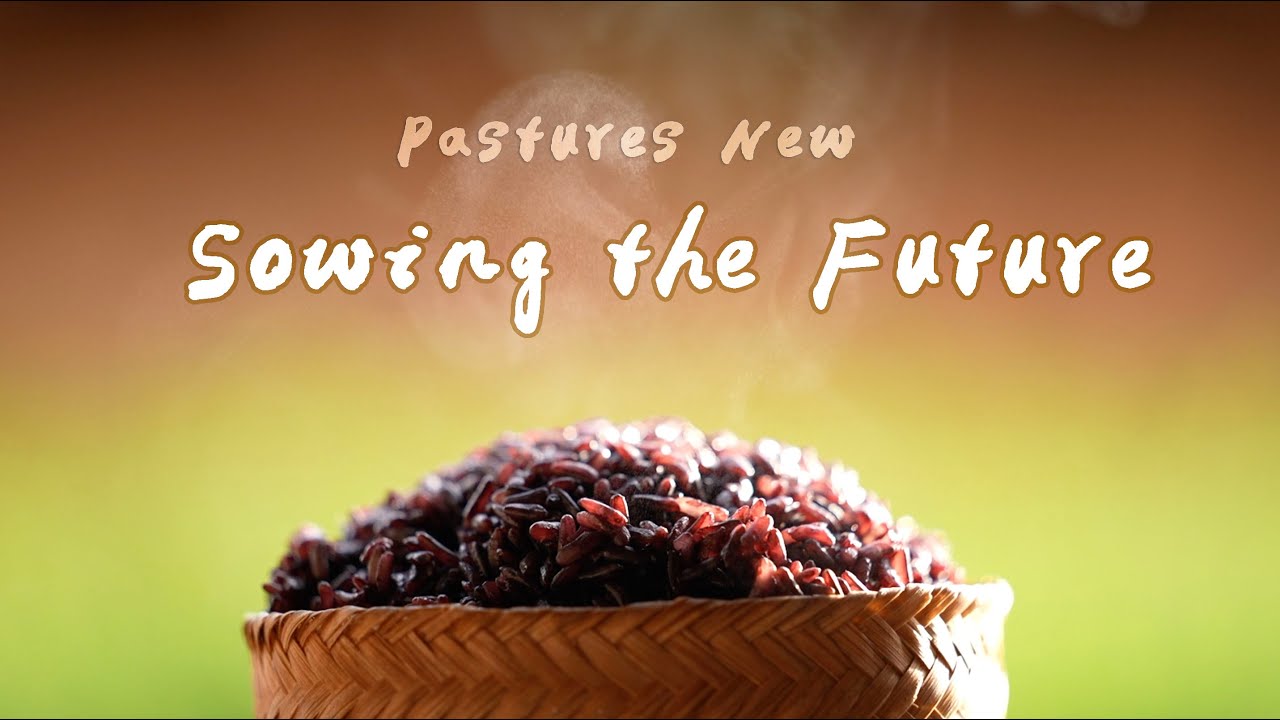 Pastures New: Sowing the Future - The Global Herald