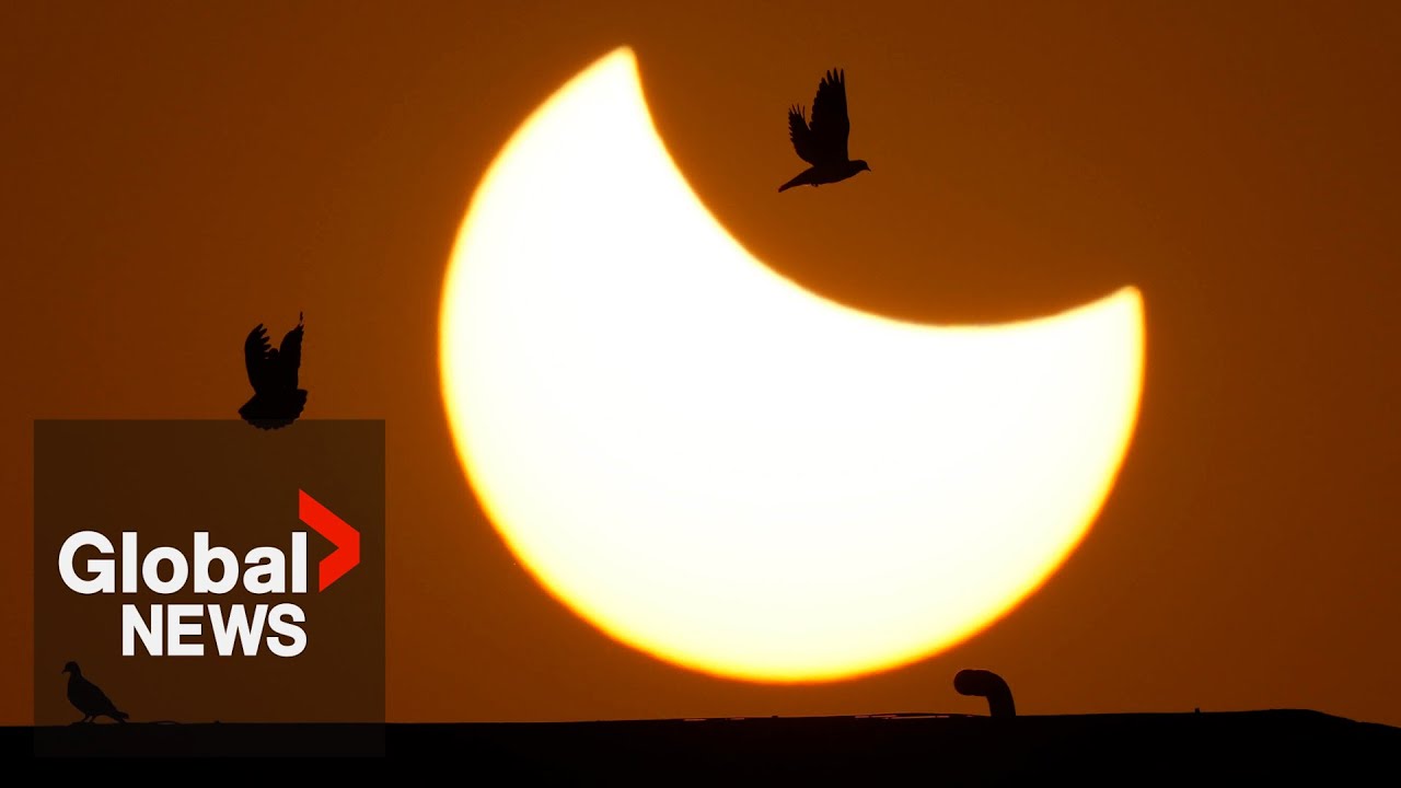 Partial solar eclipse amazes enthusiasts over large swaths of globe ...