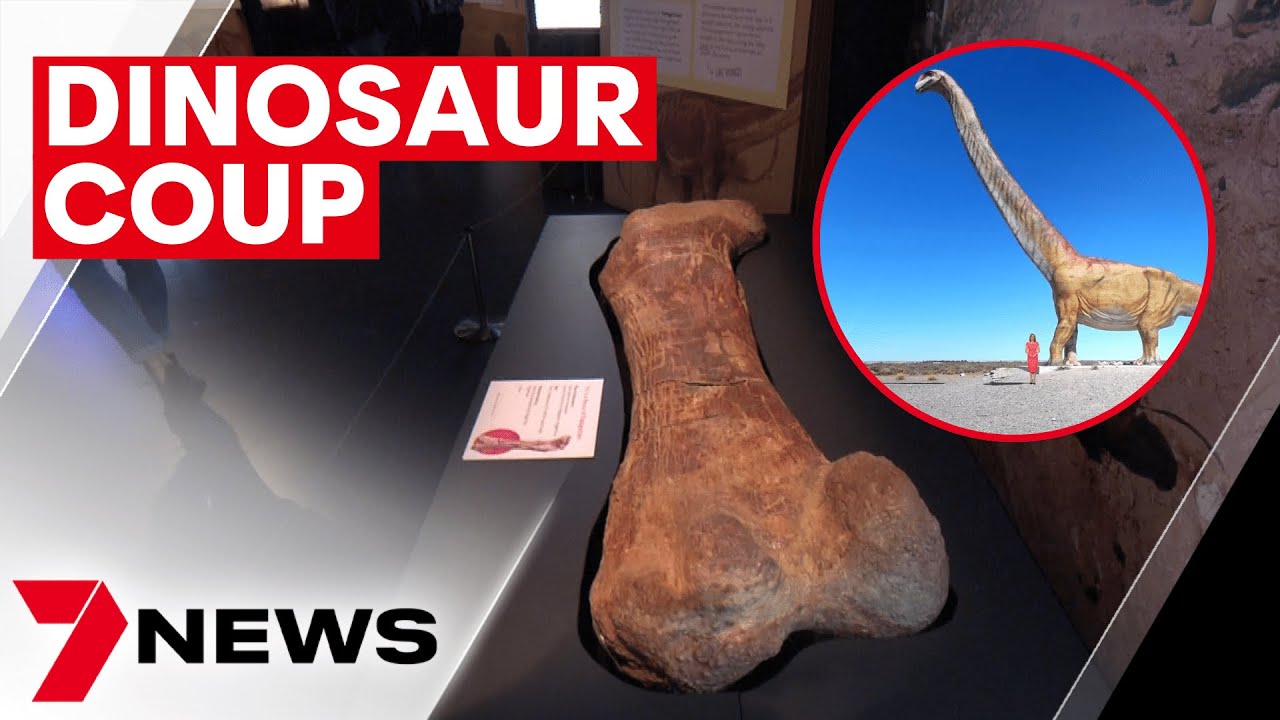 Patagotitan headlines new dinosaur arrivals at Queensland Museum ...