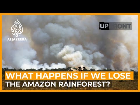 Is the Amazon rainforest at a tipping point? | UpFront - The Global Herald