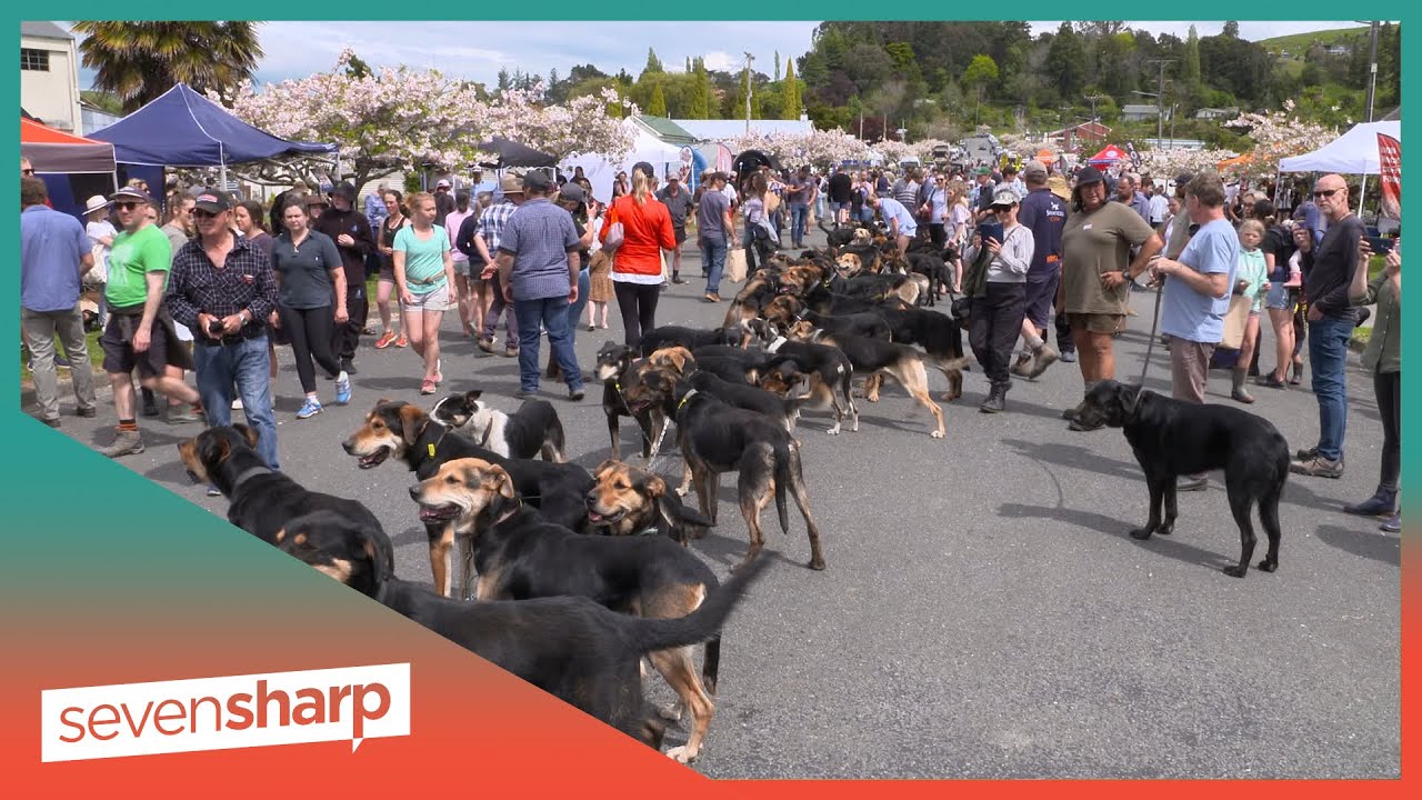 Shemozzle Day. - The Global Herald