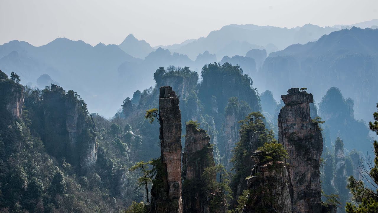 China's First National Forest Park 1982 - The Global Herald