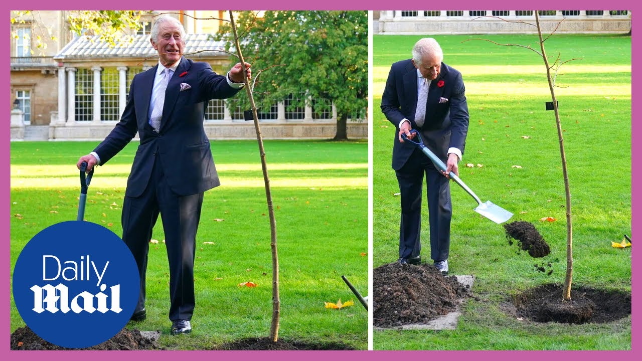 King Charles III plants tree at Buckingham Palace ahead of COP27 - The ...