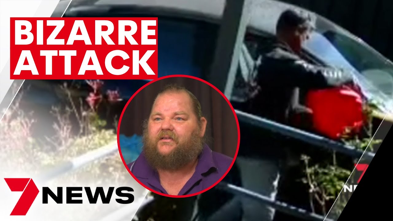 A bizarre and potentially deadly attack has been captured on camera in ...