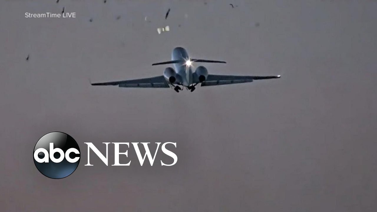 Bird strike forces emergency landing of US Air Force plane - The Global ...
