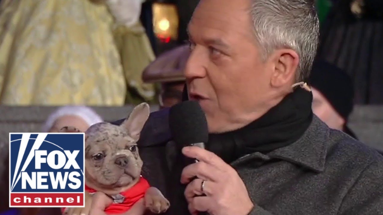 Gutfeld introduces his new puppy, Gus - The Global Herald