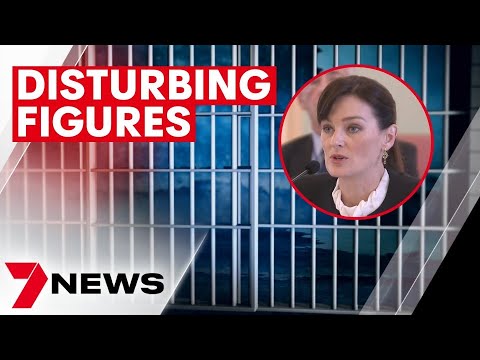 Leanne Linard fronts cameras over Queensland's disturbing youth crime ...