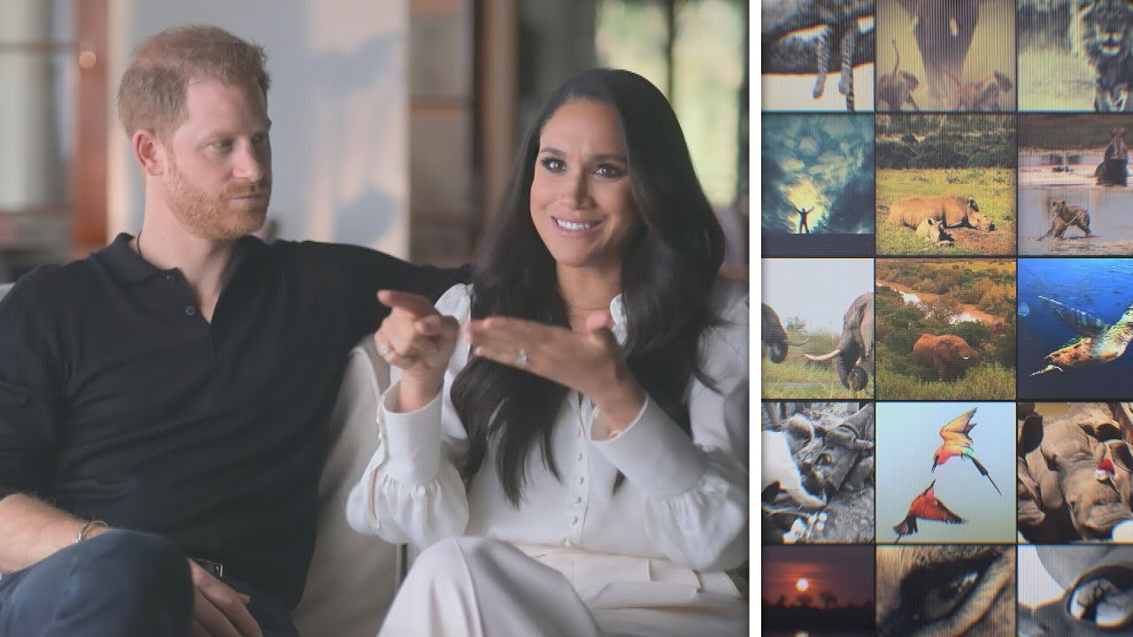 Prince Harry and Meghan Markle REVEAL They Met on Instagram - The ...
