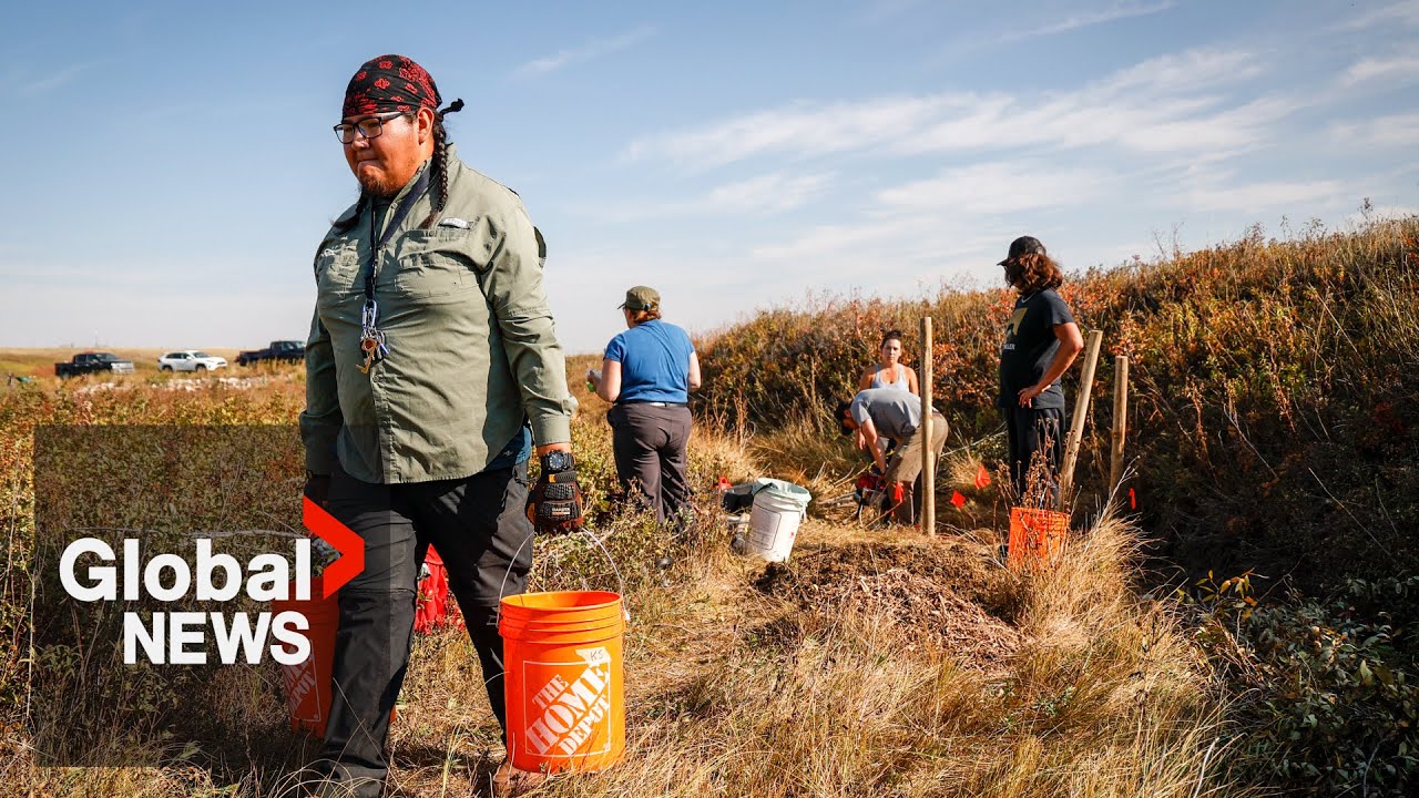 Indigenous-led conservation key to stopping worldwide biodiversity ...