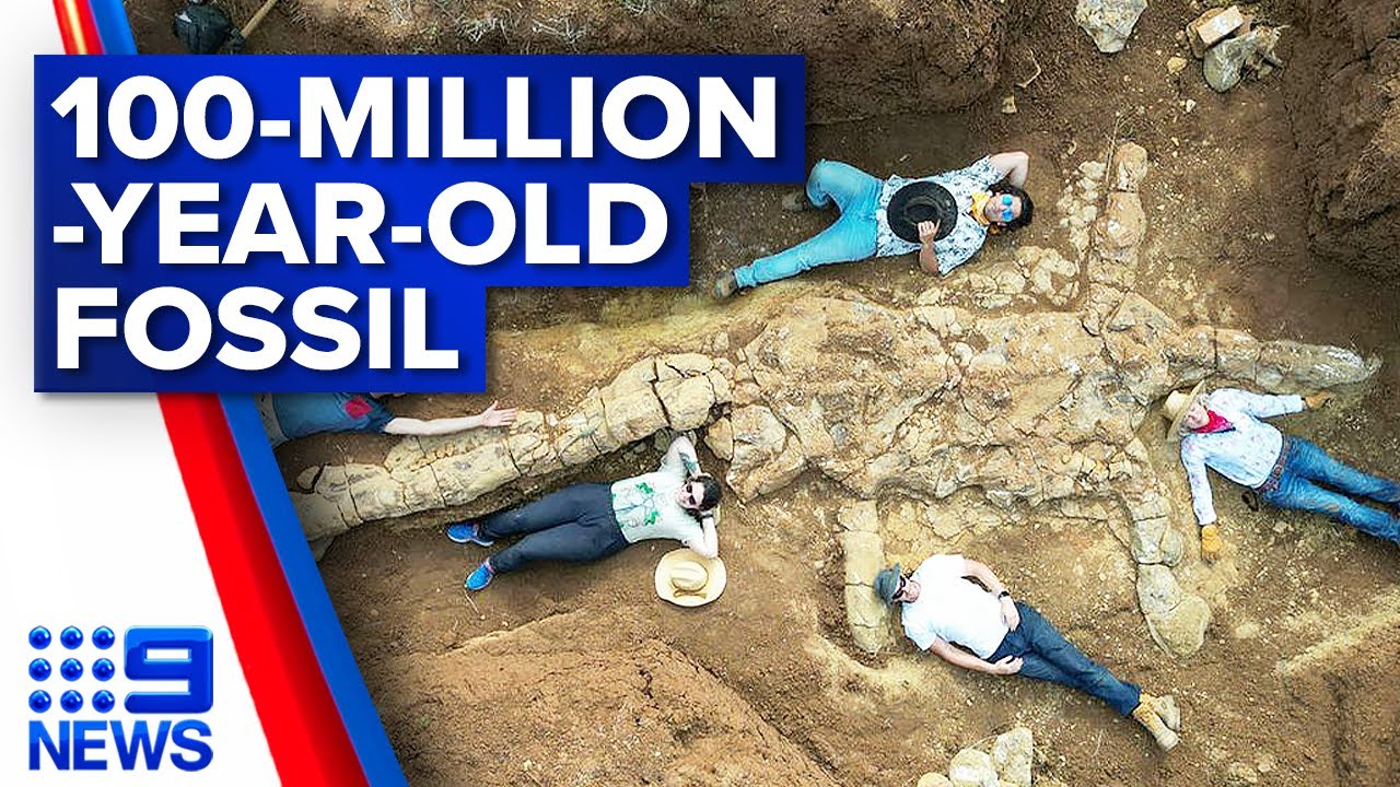 Hundred million-year-old fossil dug up in Queensland | 9 News Australia ...