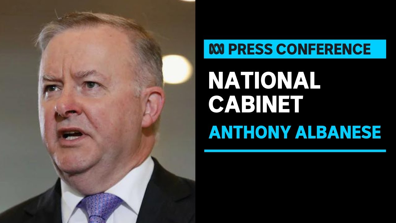 LIVE: PM Anthony Albanese holds a virtual press conference following ...