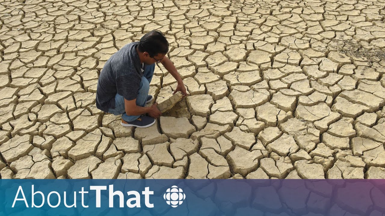 How global climate change affects Canadians | About That - The Global ...