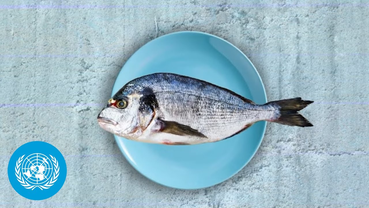 How do small-scale food producers survive emergencies? | FAO ...