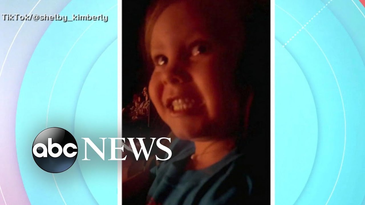 Best Of The Internet 2022 The Global Herald