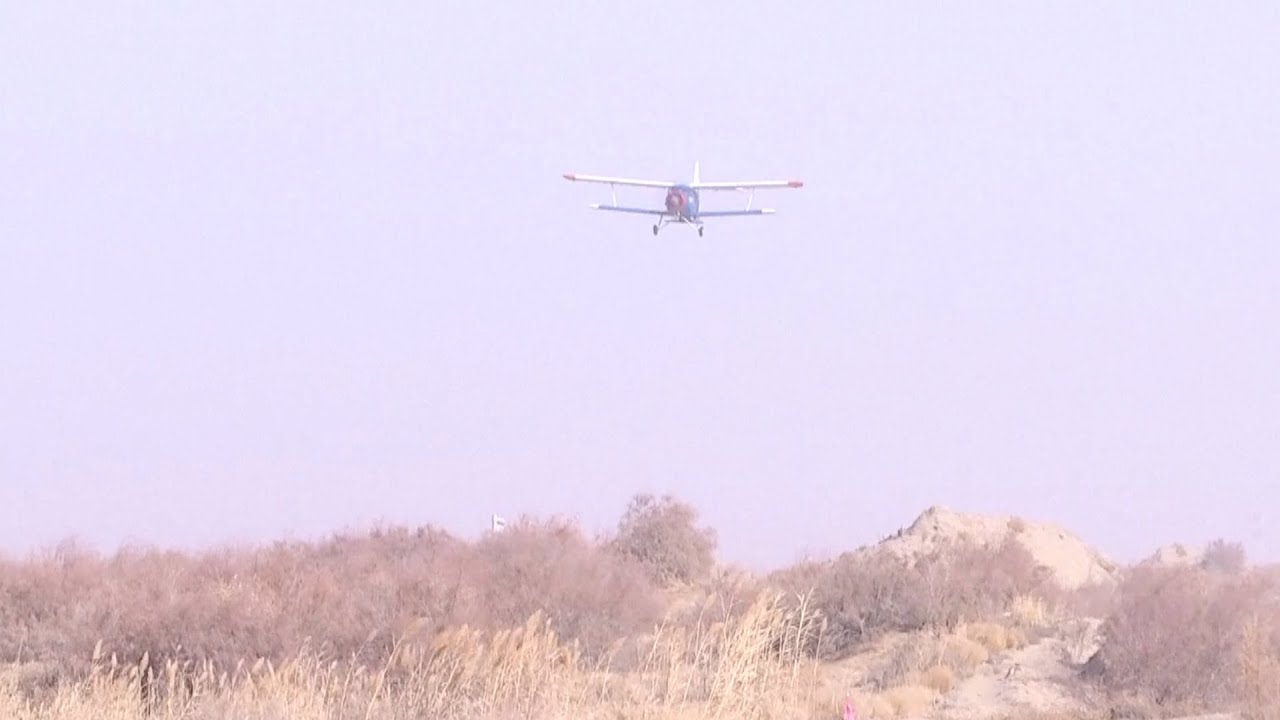 China conducts aerial reforestation in Xinjiang's Taklamakan Desert ...