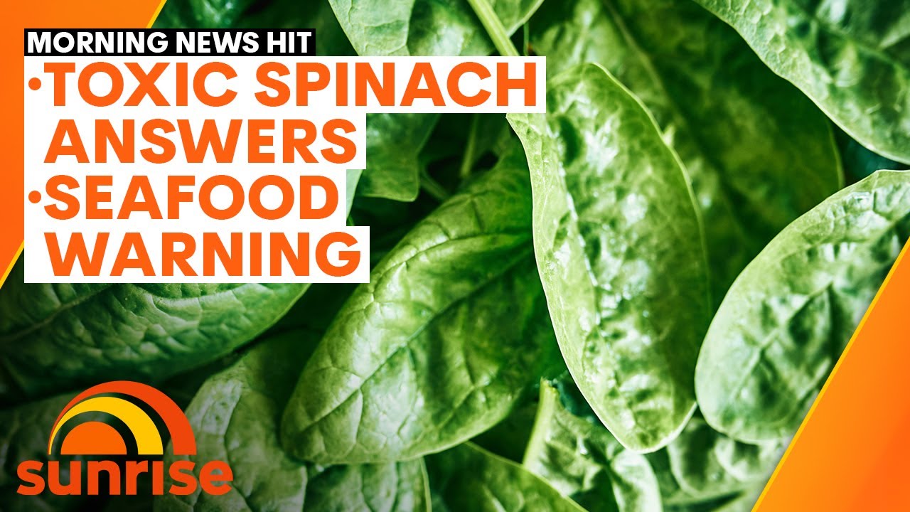 News Hit: Source of 'toxic spinach' found; seafood warning ahead of ...