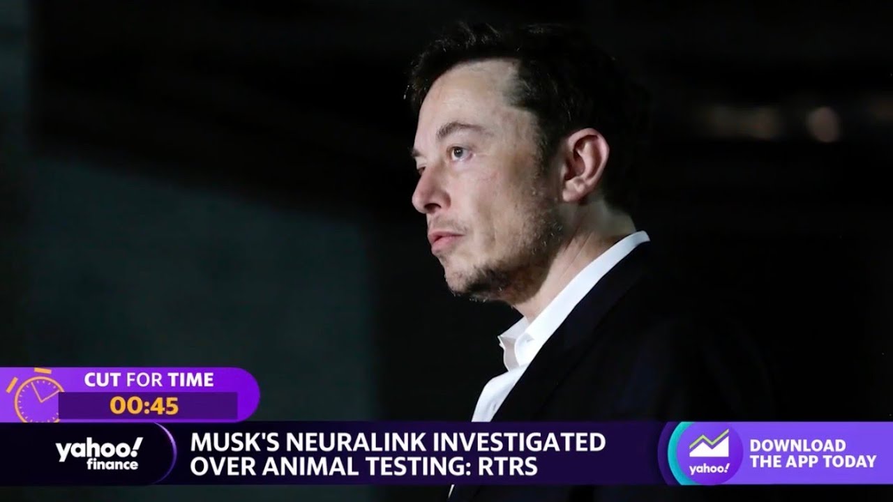 Elon Musk’s Neuralink under investigation over animal testing - The ...
