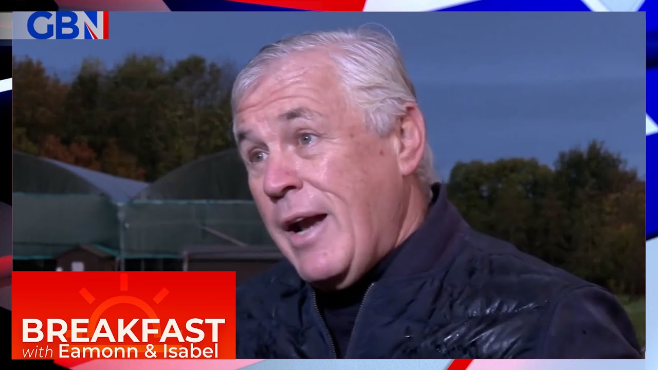 Turkey farmer on devastating impact of bird flu on his Christmas ...