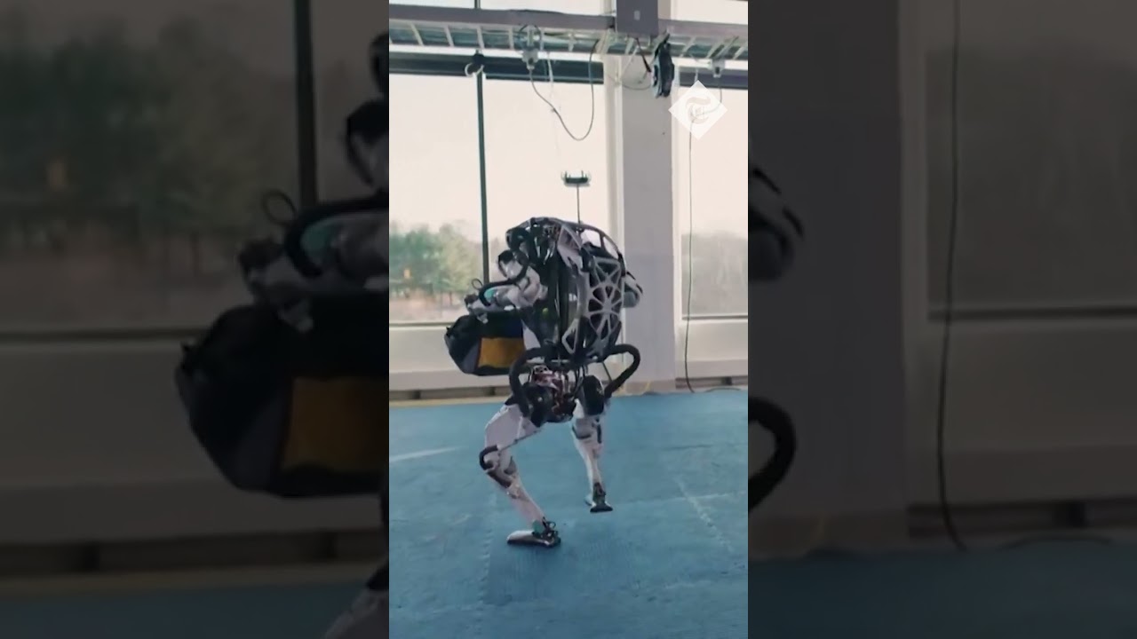 New Boston Dynamic robots show off their athletic skills - The Global ...