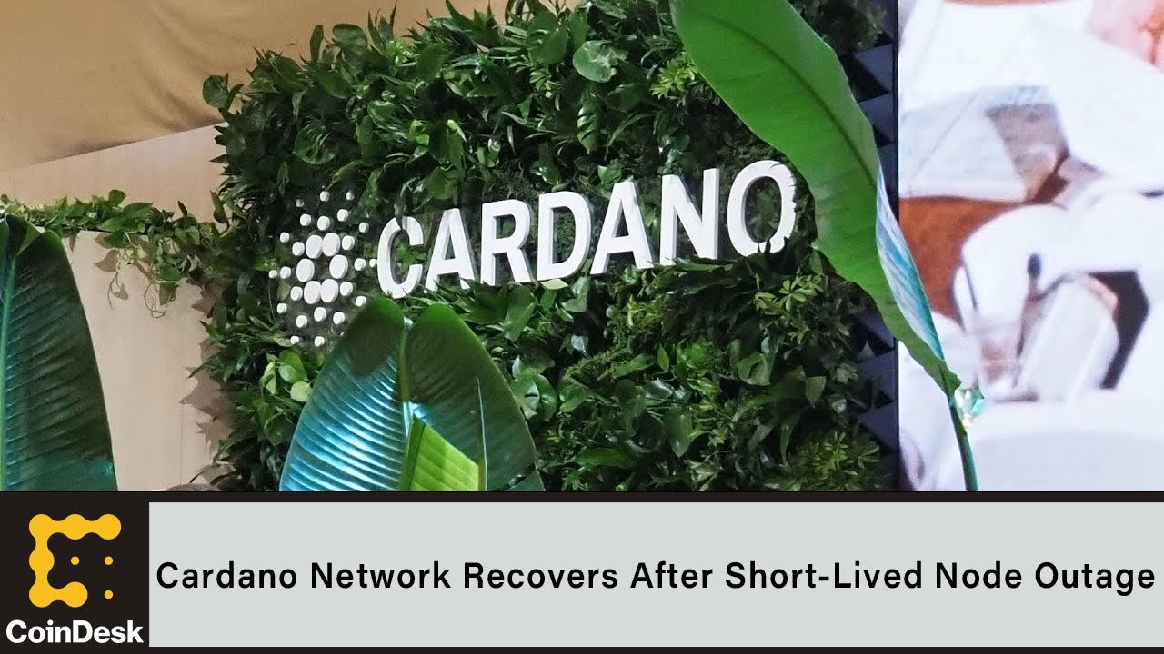Cardano Network Recovers After Short-Lived Node Outage - The Global Herald